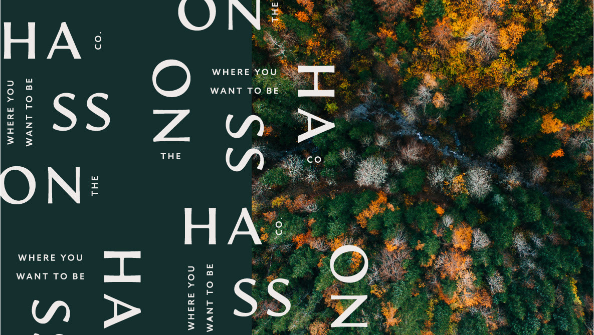 The Hasson Company: Differentiation in action - 1000watt