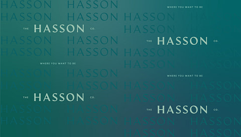 The Hasson Company: Differentiation in action - 1000watt